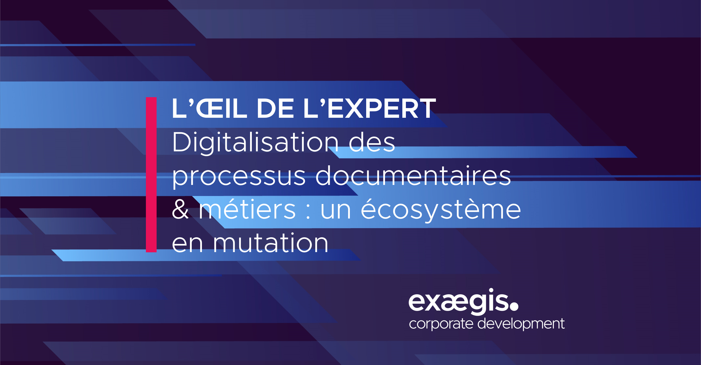 Digitalisation des processus documentaires et métiers : un écosystème en mutation